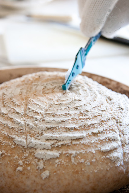 Recipe: Whisky Wort Barley Sourdough - Helen's Fuss Free Flavours