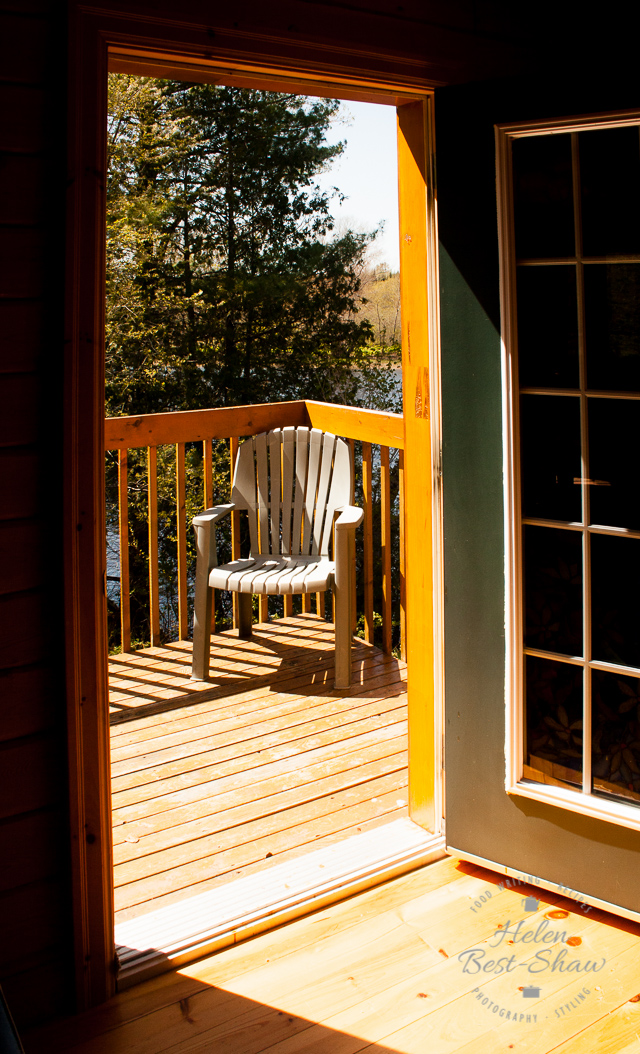 Travel: Foraging for fiddleheads on the banks of the Miramichi, The ...