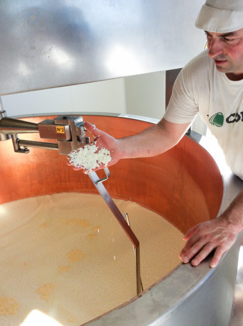 The Story behind Comté - Is it the best French cheese