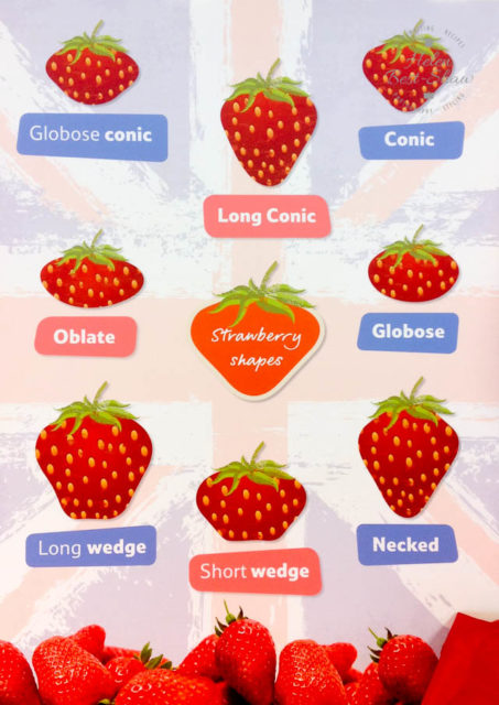 A Pimm's Dessert - Boozy Strawberry Syllabub! | Fuss Free Flavours