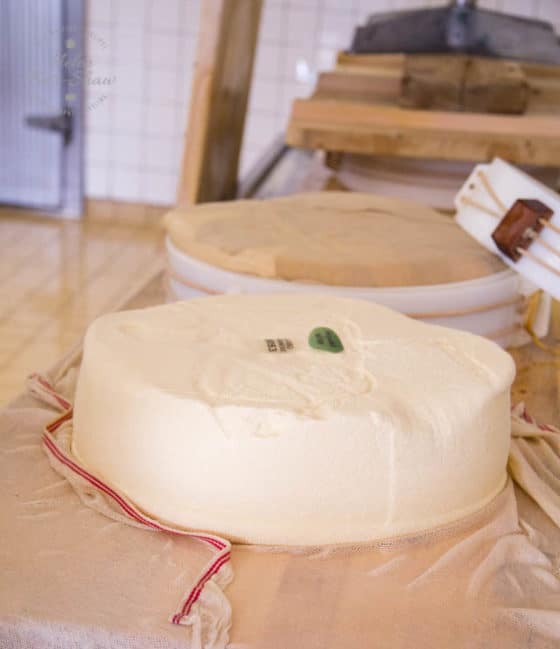 How is it made? Traditional Austrian Mountain Cheese