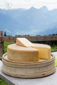 How is it made? Traditional Austrian Mountain Cheese