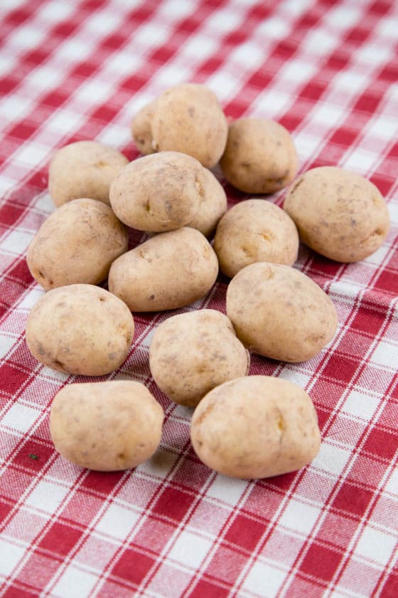 Creamy New Potatoes with Spring Vegetables.