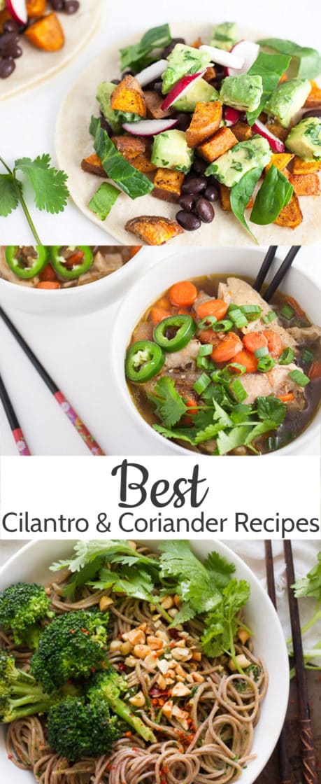 The Best Coriander {Cilantro} Recipes - Helen's Fuss Free Flavours