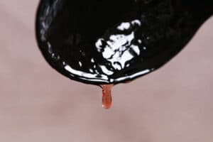 Perfect Preserving - Everything You need to Know About Jam Setting Point