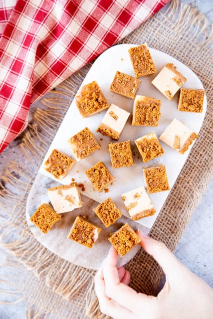 Easy Biscoff Fudge (4 ingredients) - Helen's Fuss Free Flavours