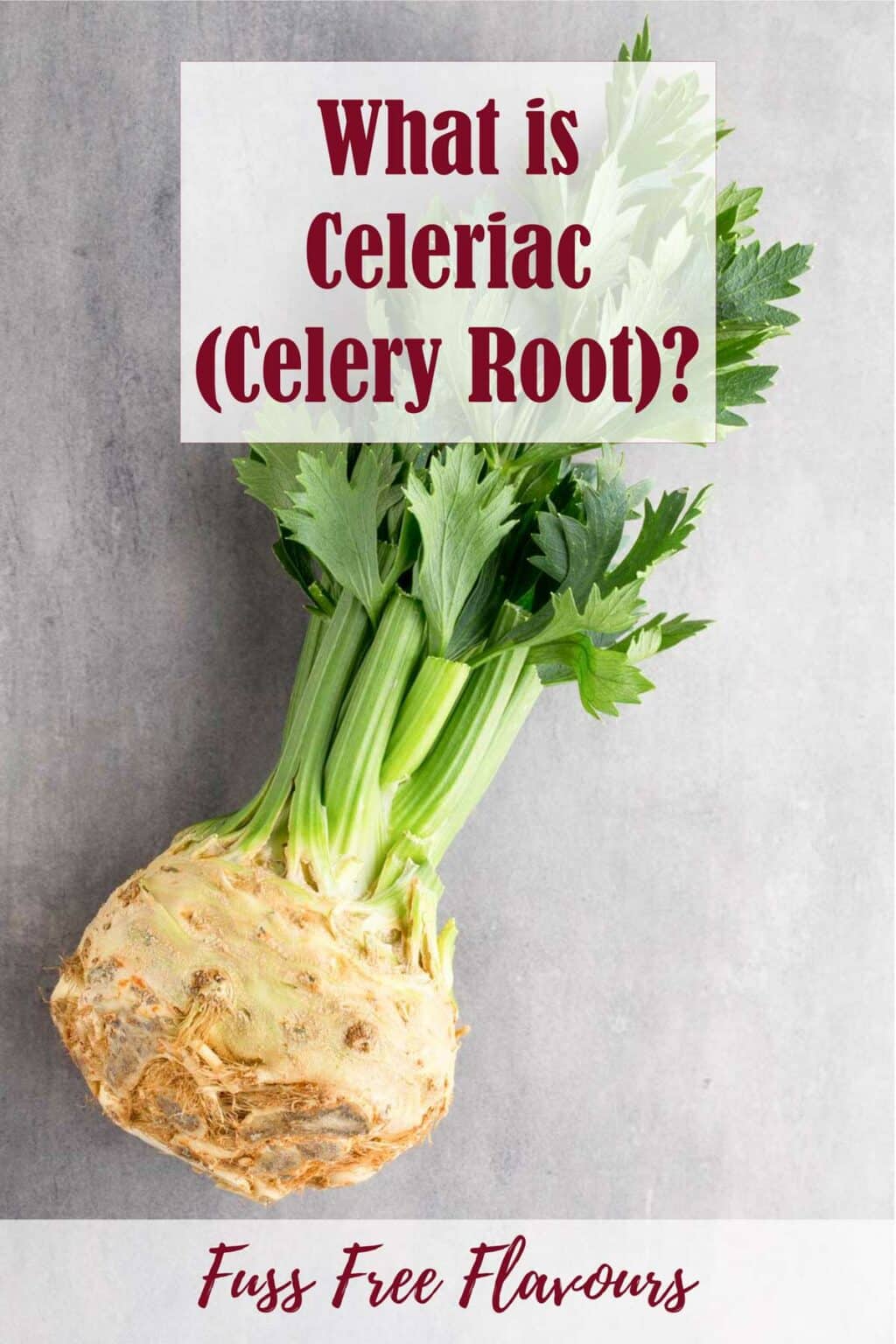 What Is Celeriac? - Helen's Fuss Free Flavours