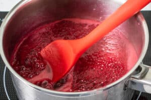 Damson Jelly for Sweet and Savoury - Helen's Fuss Free Flavours