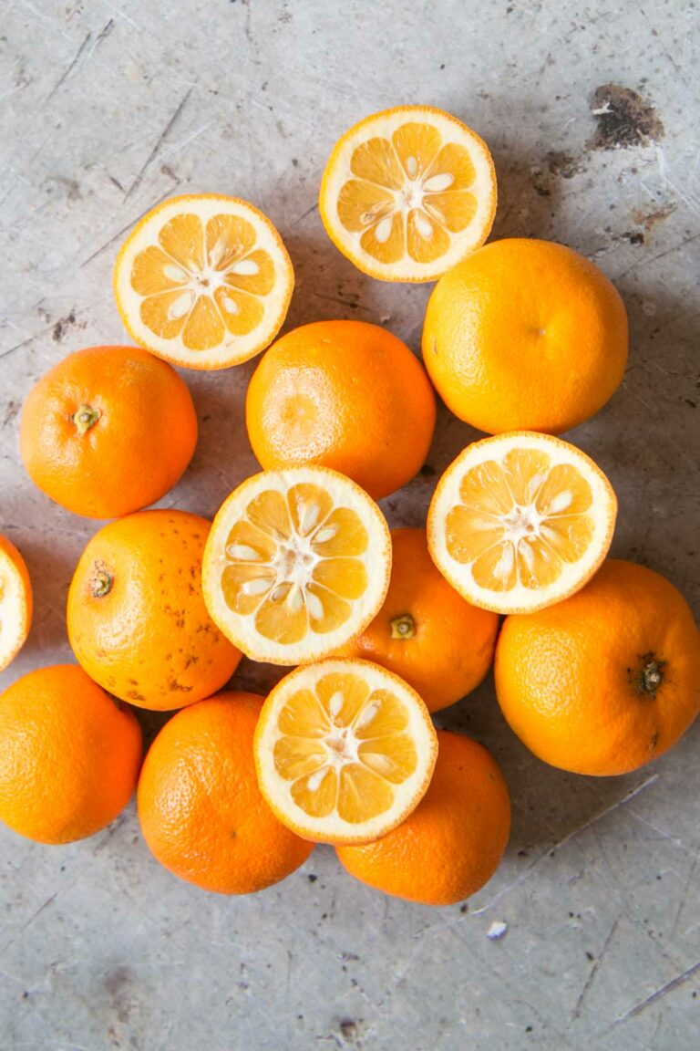 Traditional Seville Orange Marmalade Recipe - Helen's Fuss Free Flavours