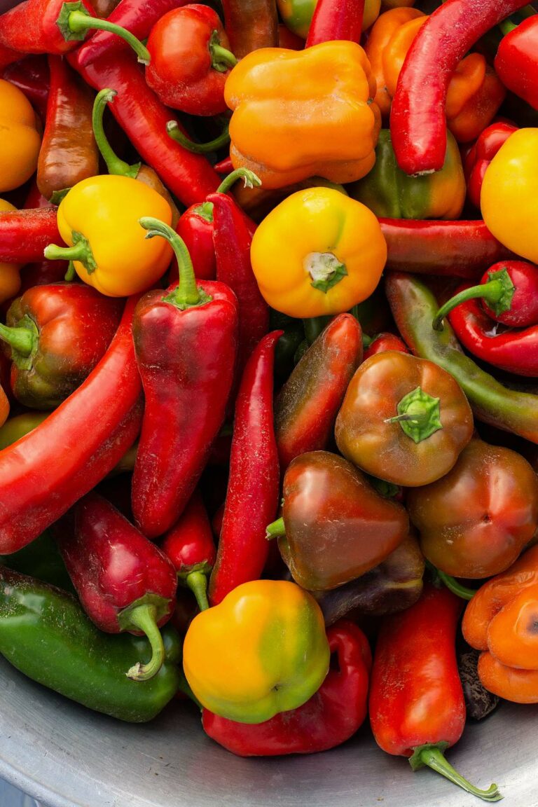 A Guide to Chilli Peppers - Helen's Fuss Free Flavours