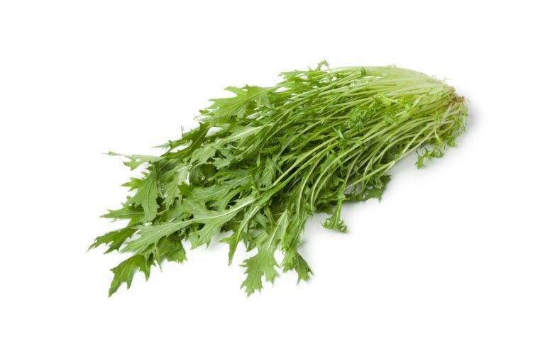 17 Leaves to Liven Up Your Salads - Helen's Fuss Free Flavours