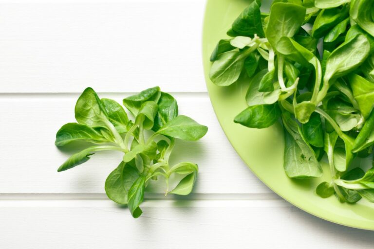 17 Leaves to Liven Up Your Salads - Helen's Fuss Free Flavours