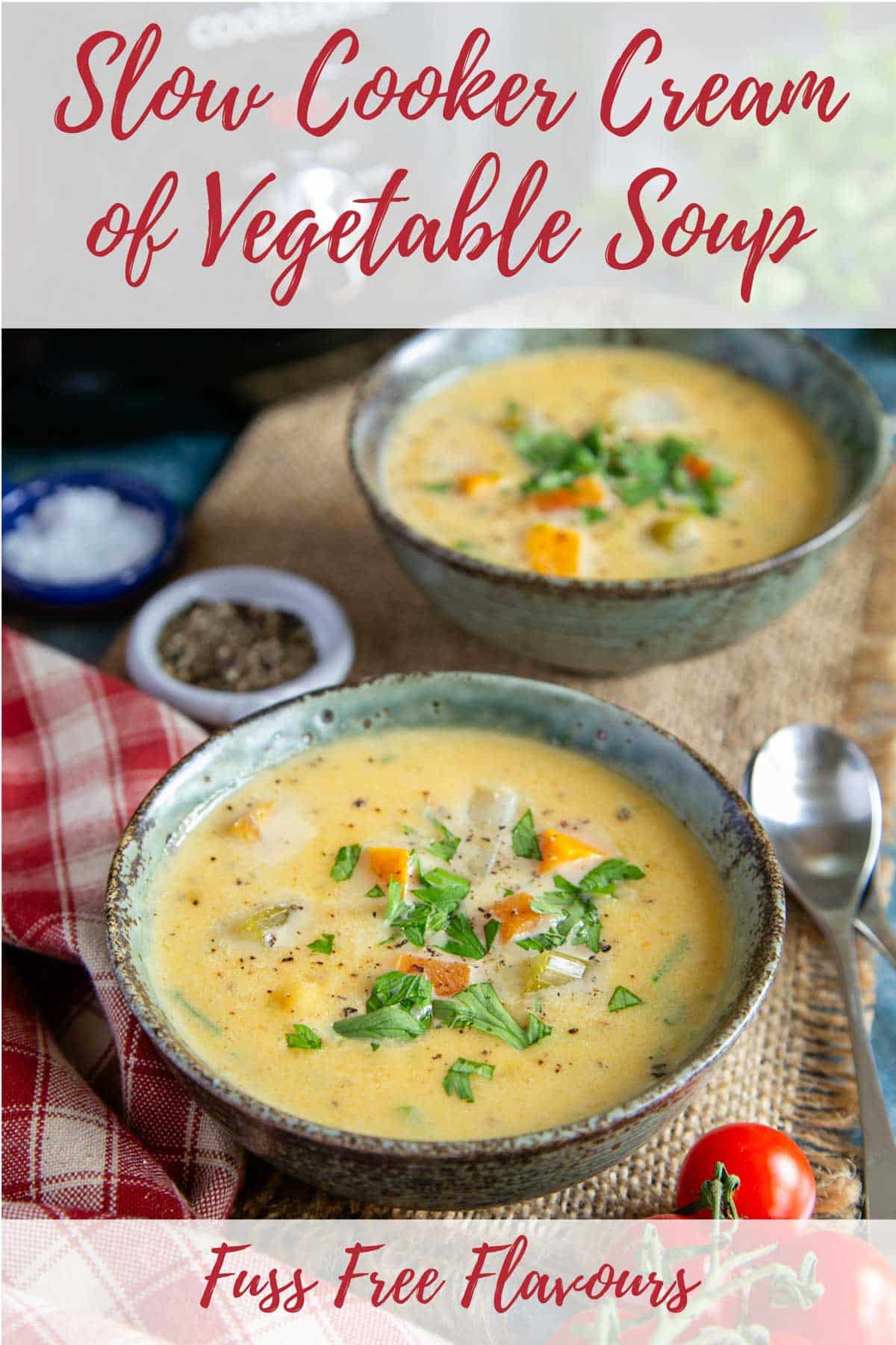 Slow Cooker Cream of Vegetable Soup - Helen's Fuss Free Flavours