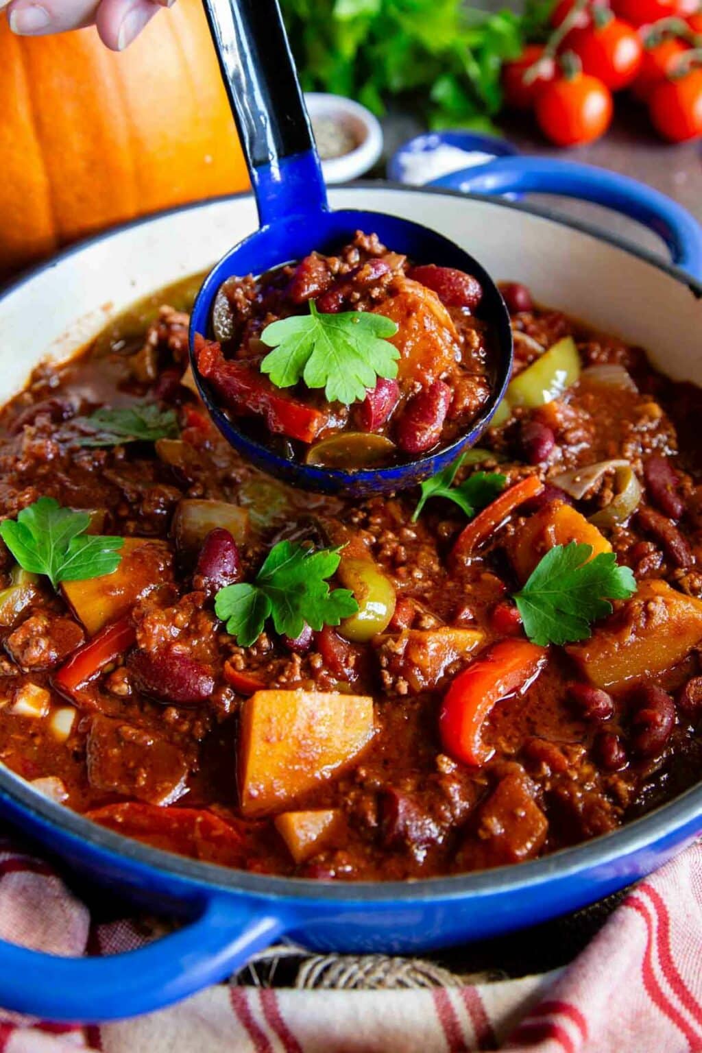 Best Chilli Recipes (Chili Recipes) - Helen's Fuss Free Flavours