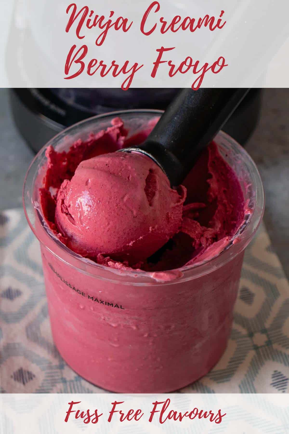 Mixed Berry Frozen Yogurt (Ninja Creami) - Helen's Fuss Free Flavours